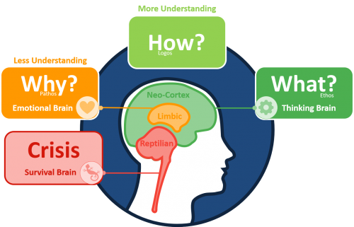Classic Learning Research in Practice - Triune Brain - Connect to your ...