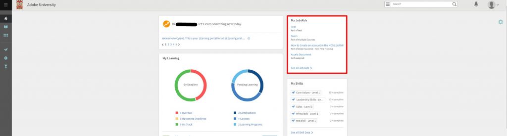 Job Aids - What you should know - eLearning