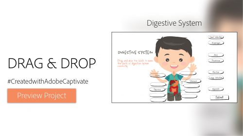 Digestive system project - eLearning