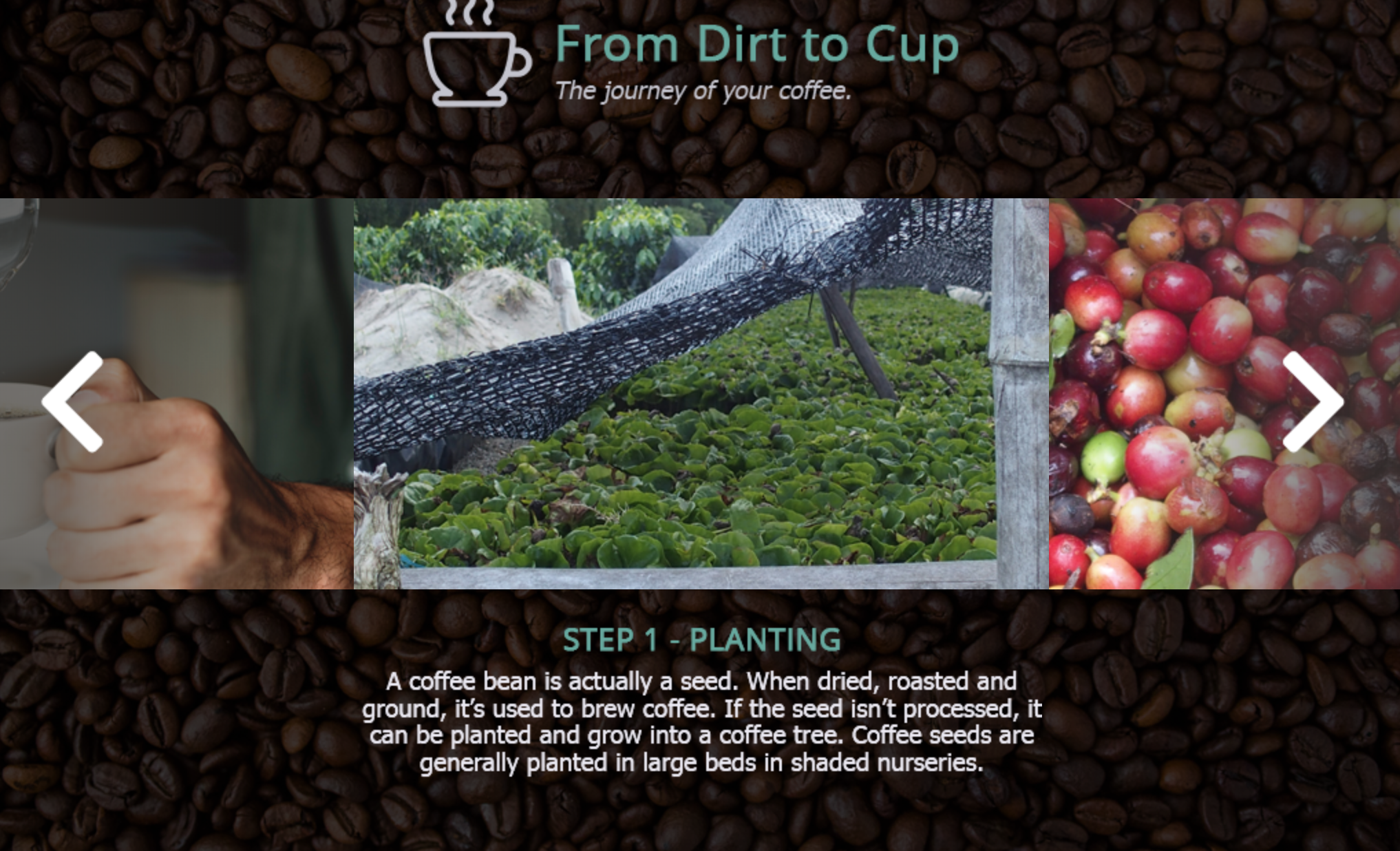 Free Example: Carousel Interaction Using Object States - eLearning