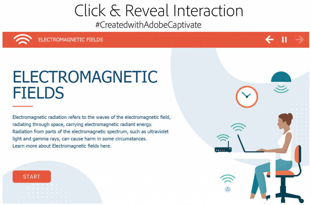 Electromagnetic fields project - eLearning