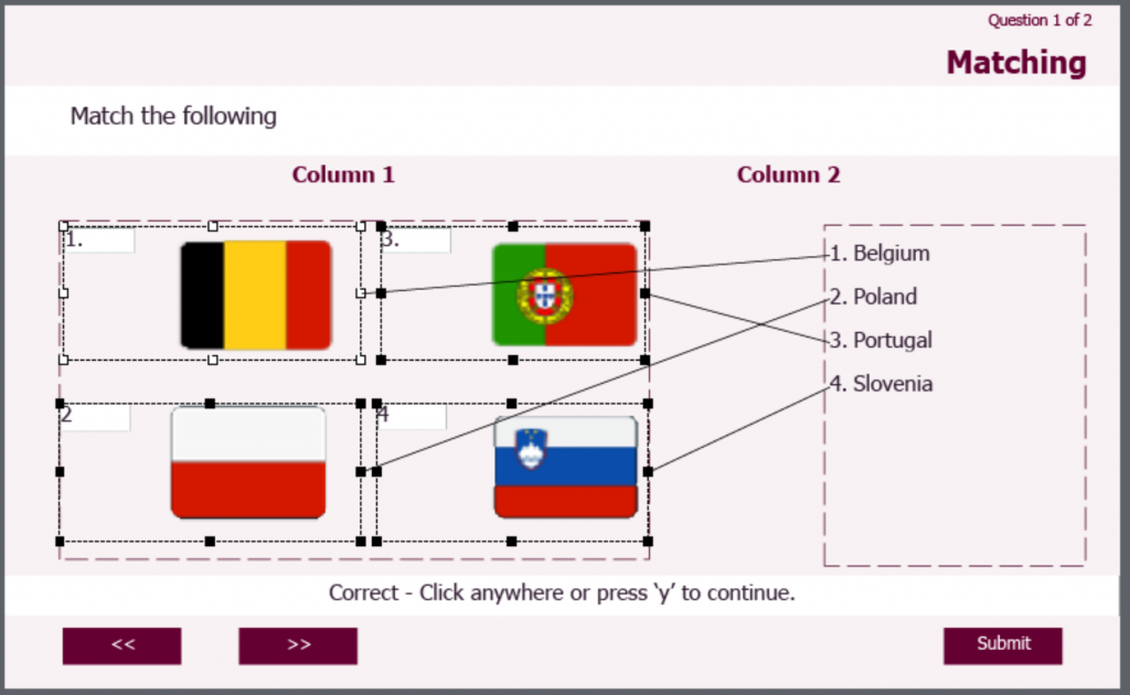Matching question with Images. - eLearning