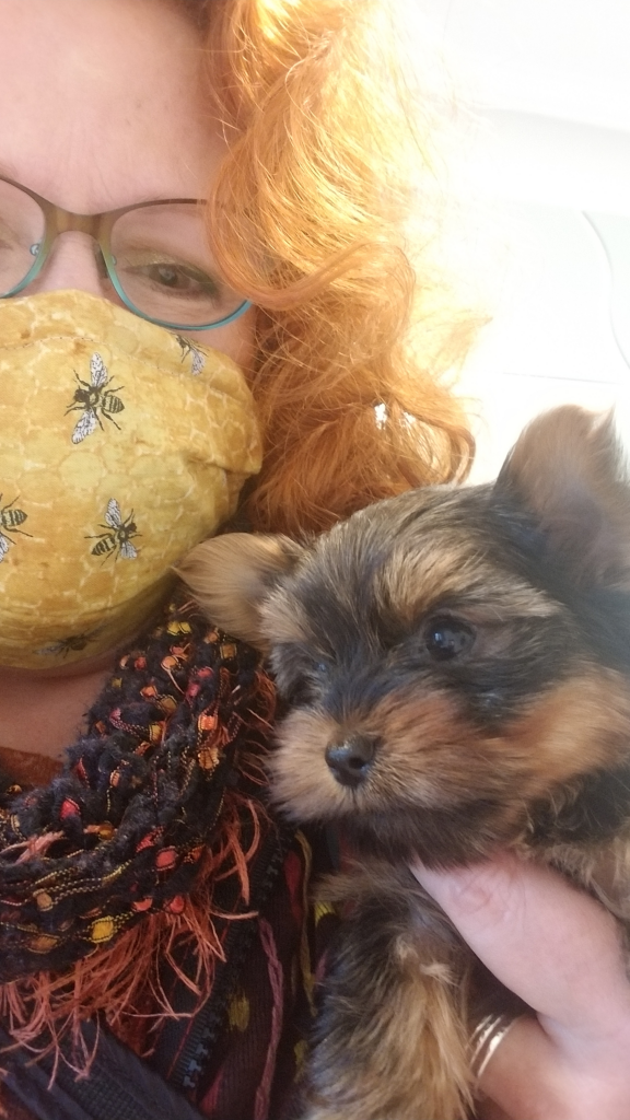 Pixel and Me - eLearning