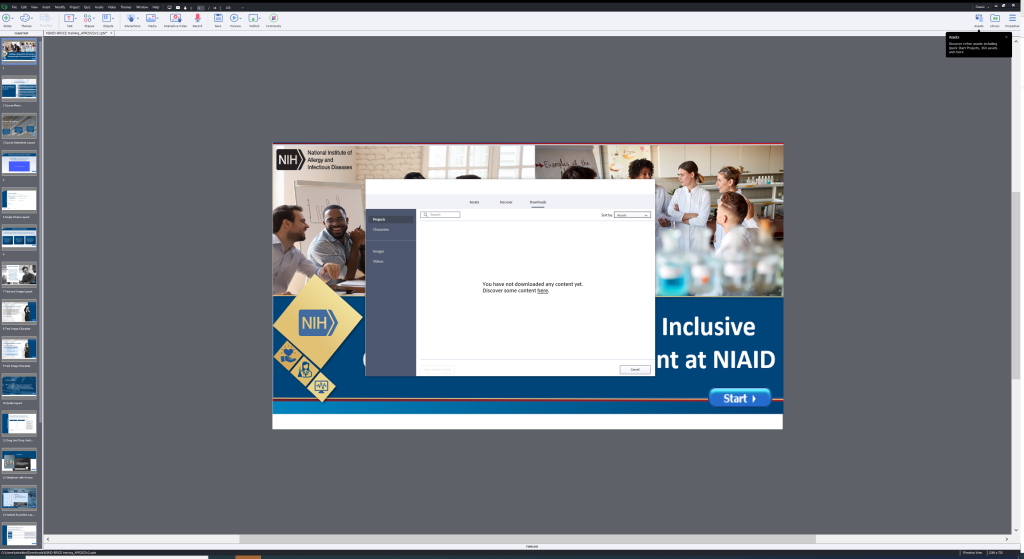 captivate 2019 asset window - eLearning