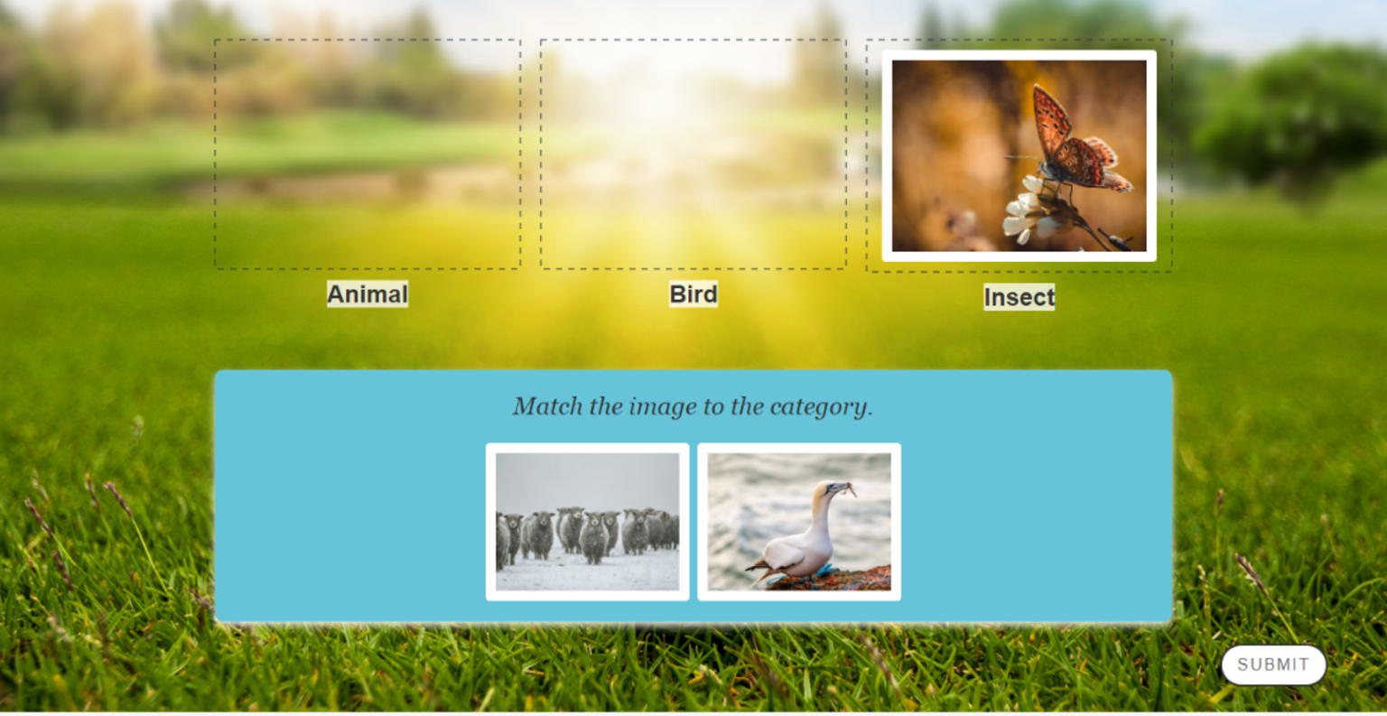 Create Programming Free Interaction with widget Gallery - eLearning