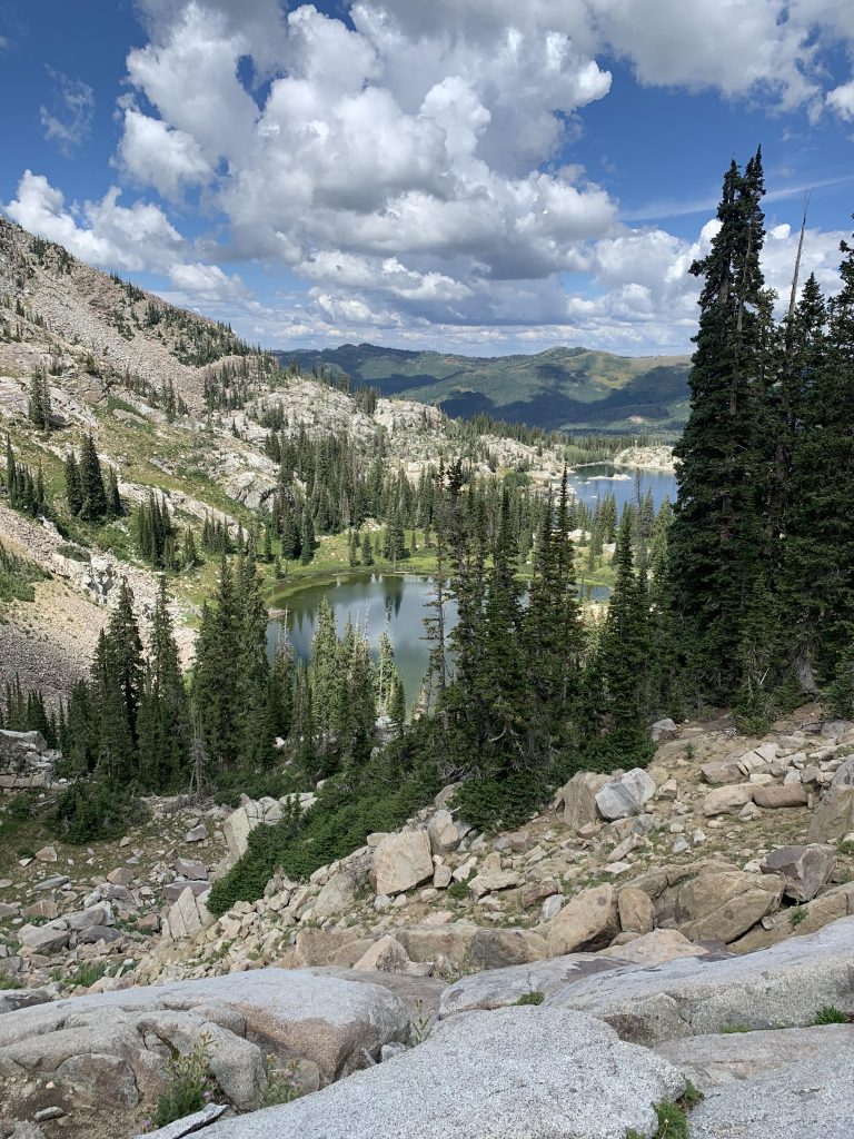 Brighton Lake Mary - eLearning